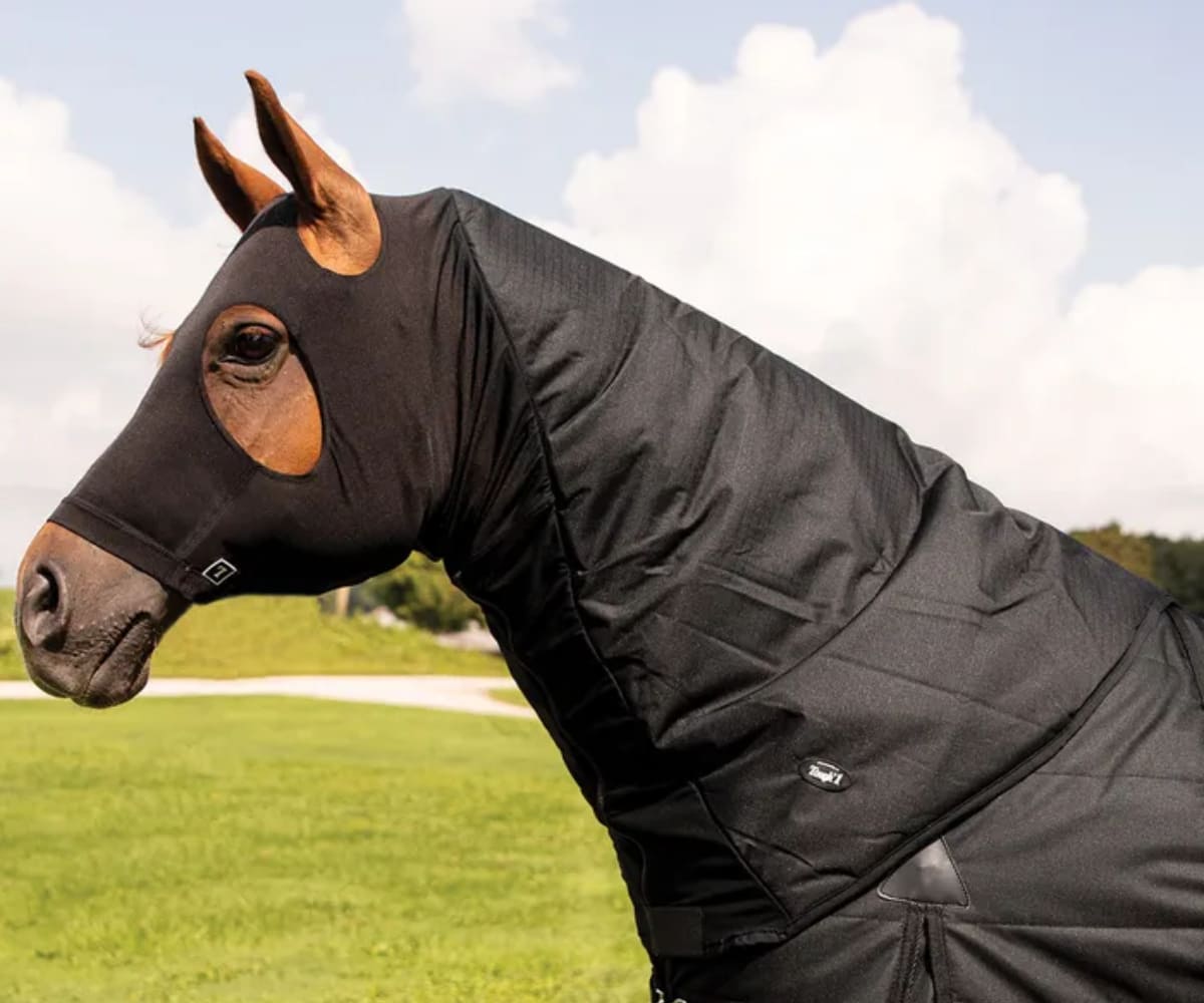 Tough 1 Official Website - Premium Horse Products